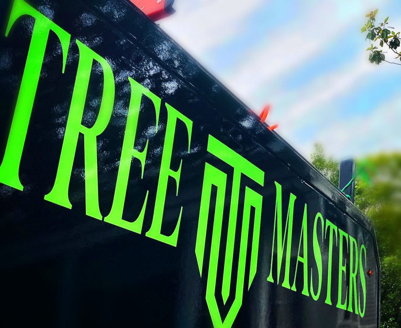 Tree Root Removal | Tree Masters